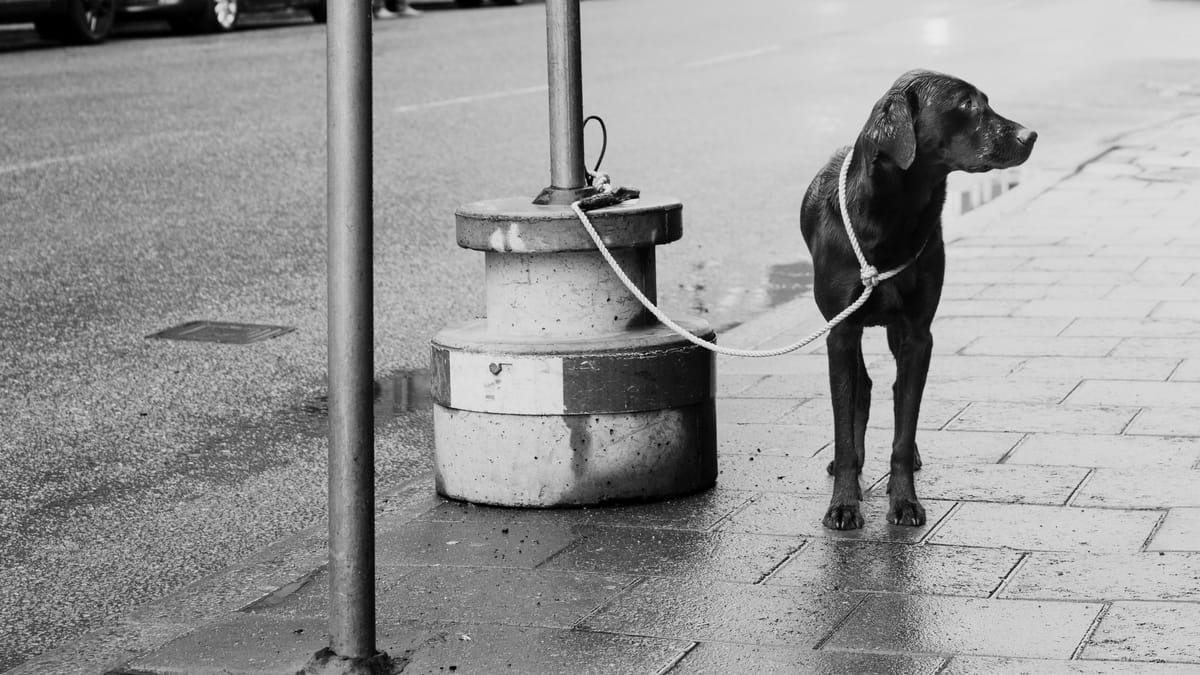 Vemödalen tur och retur